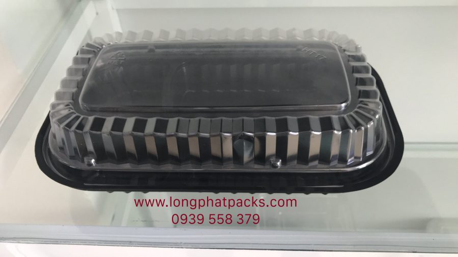 HỘP NHỰA HT17 - 2 NGĂN - BAO BÌ LONG PHÁT