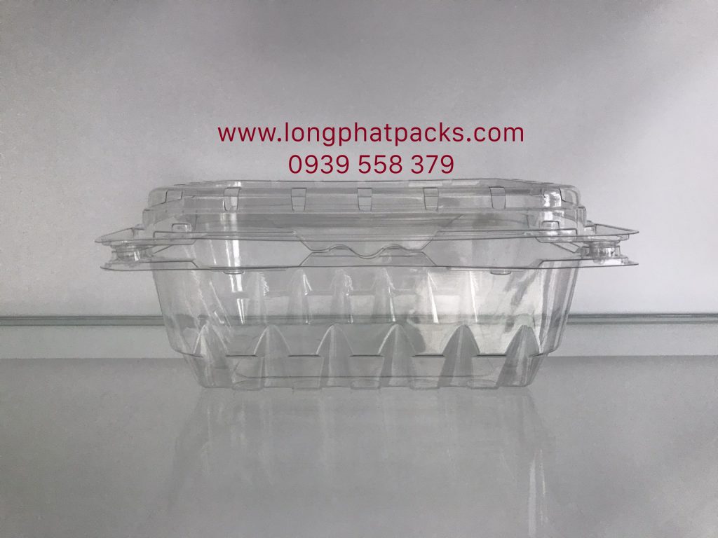 HỘP P1000C ĐỰNG TRÁI CÂY - CÔNG TY BAO BÌ LONG PHÁT