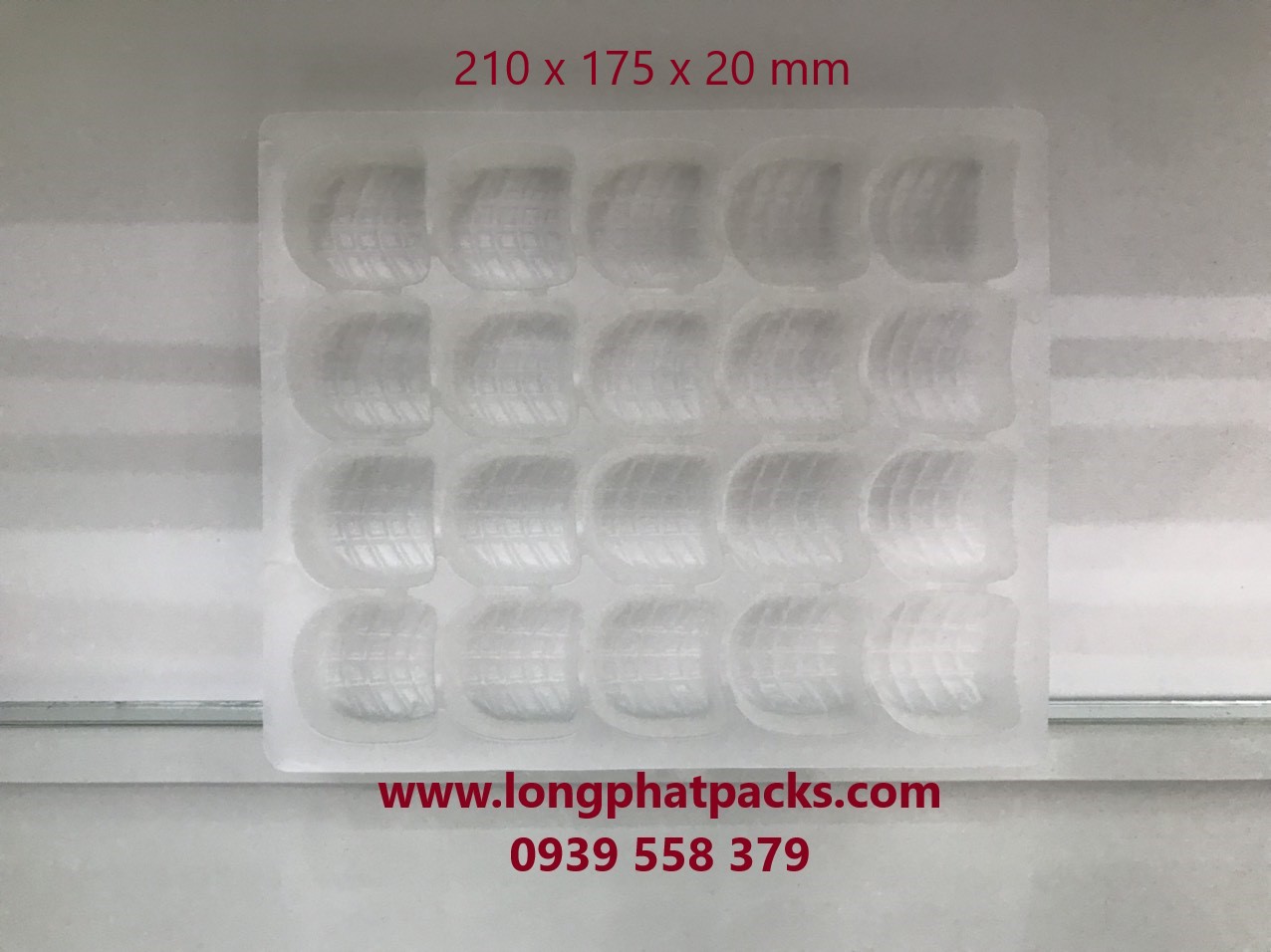 KHAY NHỰA PP - CÔNG TY BAO BÌ LONG PHÁT